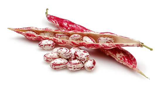 Borlotti beans | COROOS